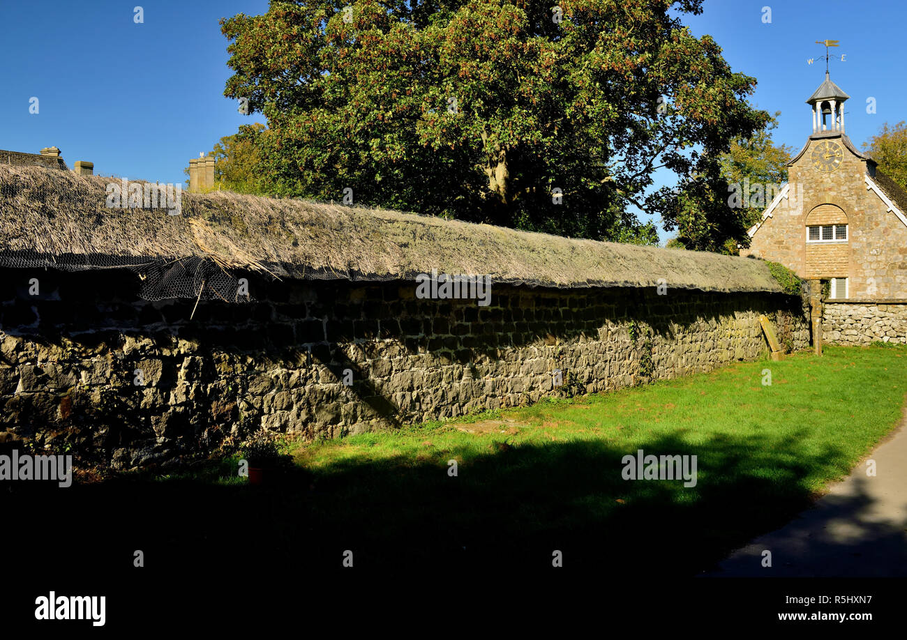 Mur de chaume Banque de photographies et d’images à haute résolution ...