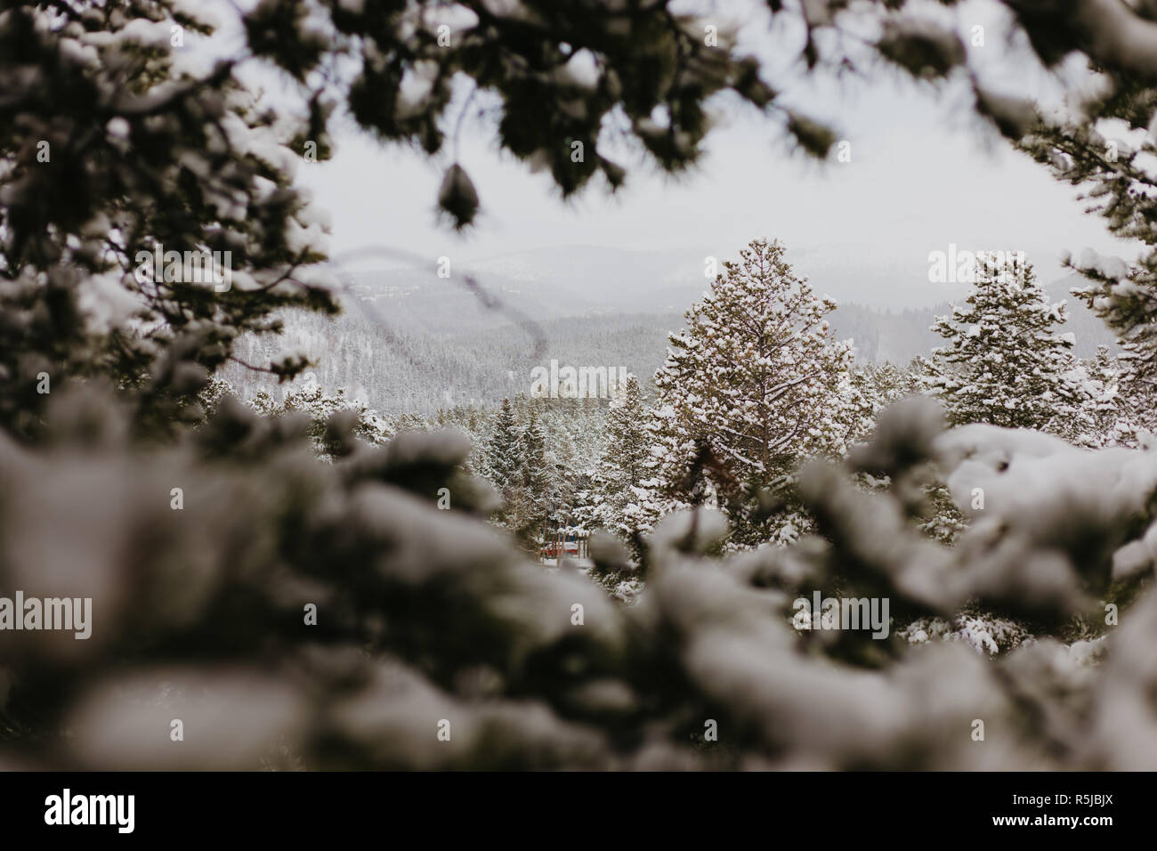 Beau Paysage Paisible Banque d'image et photos - Alamy