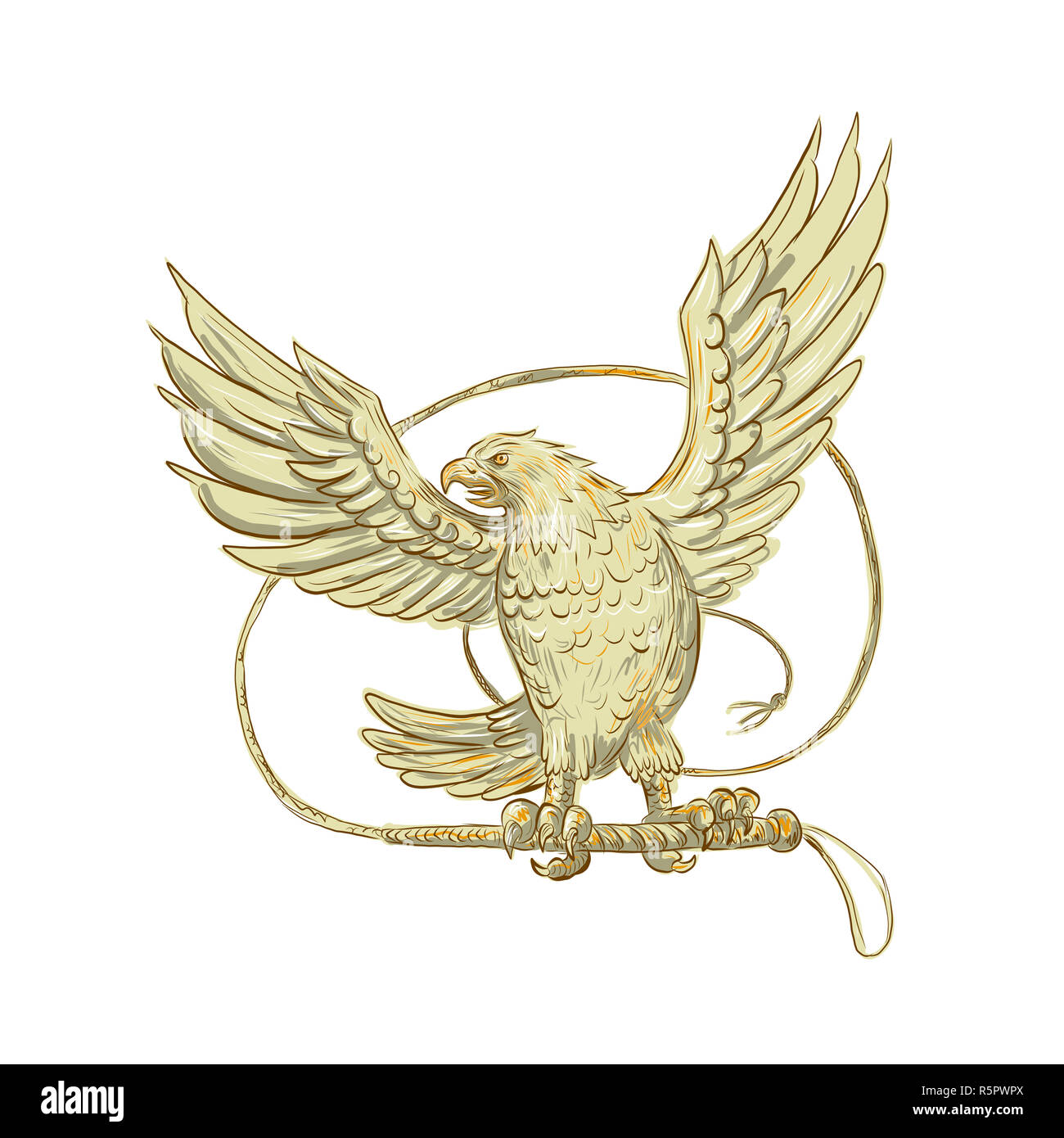 Bald eagle drawing Banque de photographies et d’images à haute ...