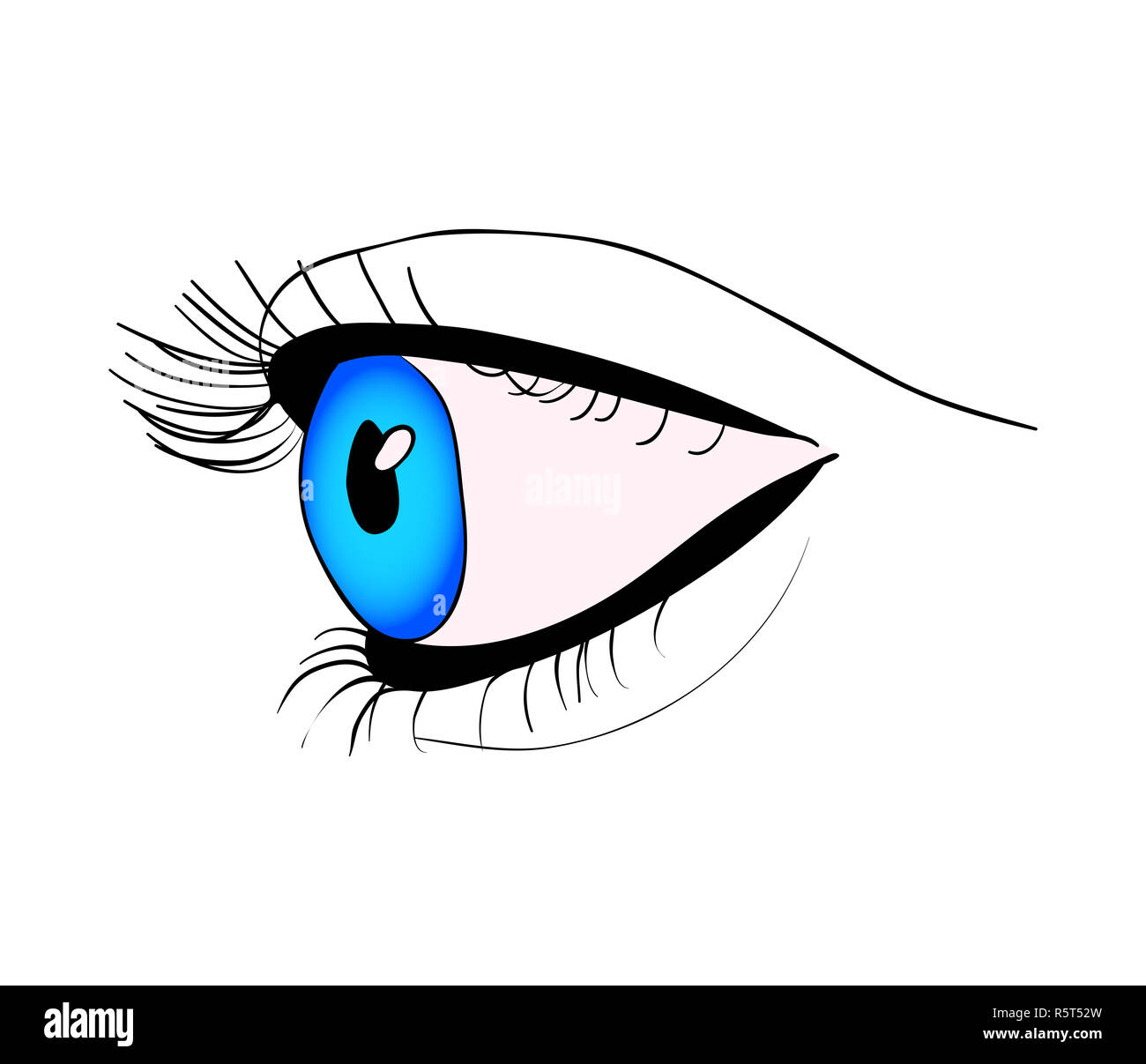 Œil humain close up vector icône Symbole du design. Belle illustration ...