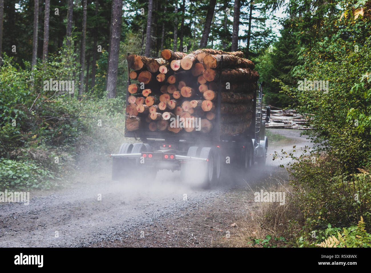 Camion plein de bois Banque de photographies et d’images à haute ...