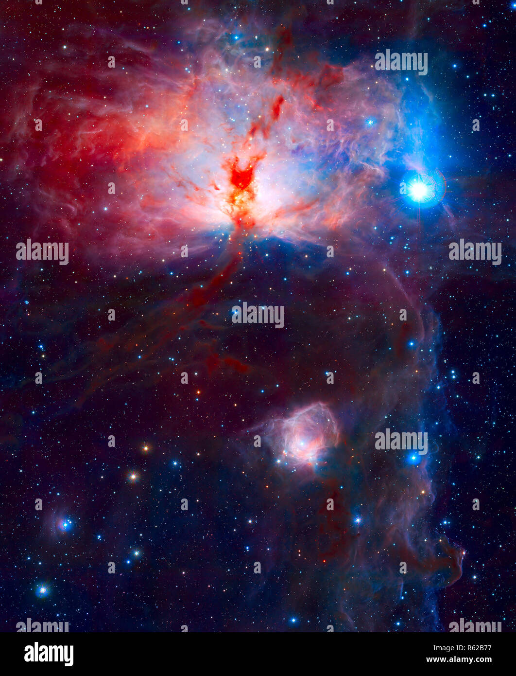 r-gion-d-toiles-de-la-n-buleuse-de-la-flamme-dans-la-constellation-d