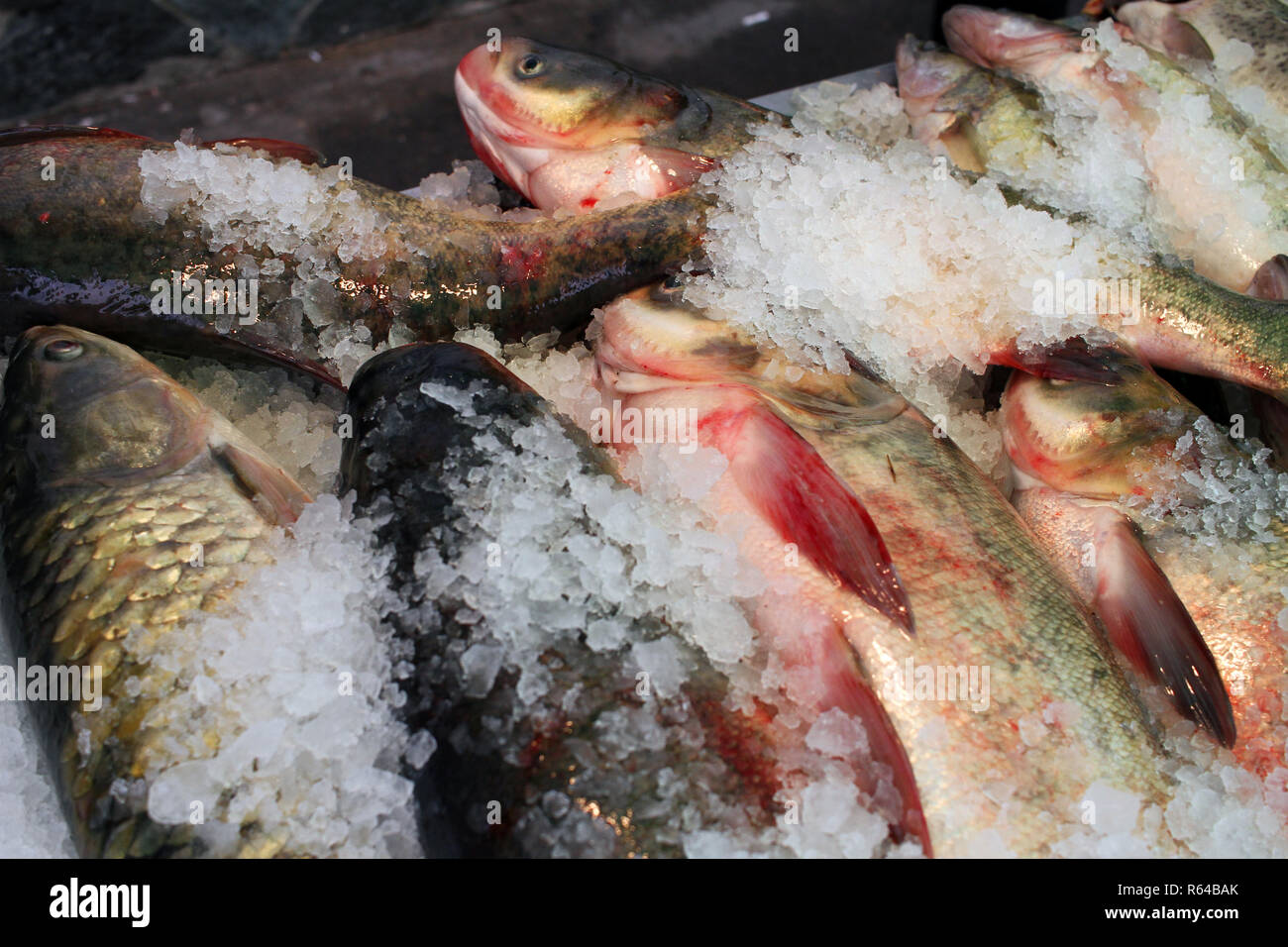 Le poisson. Le poisson frais texture de fond. Filet et couper le ...