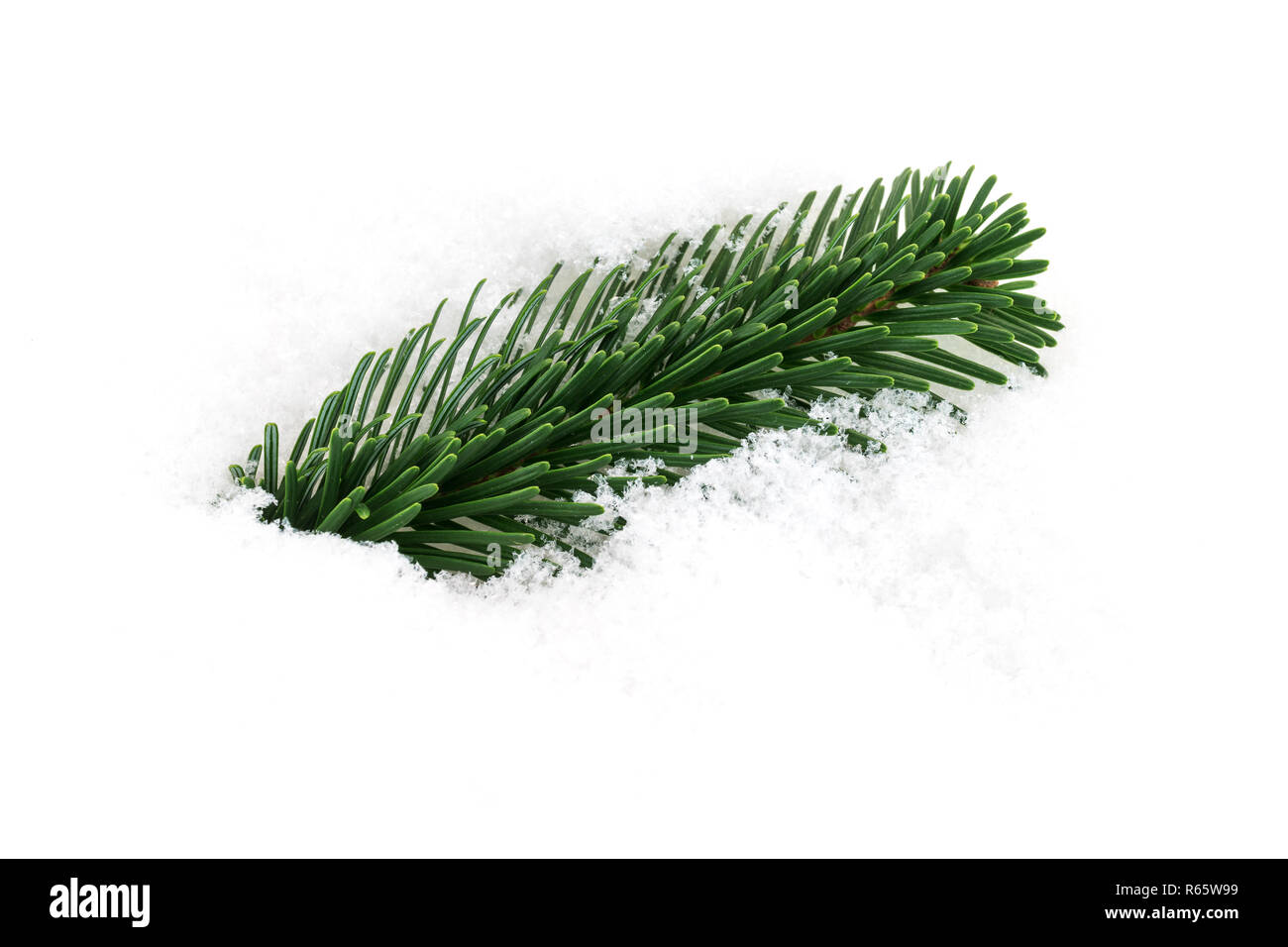 Branche de sapin neige Banque d'images détourées - Alamy