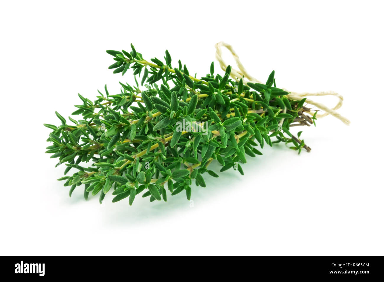 Thym plante Banque d'images détourées - Alamy