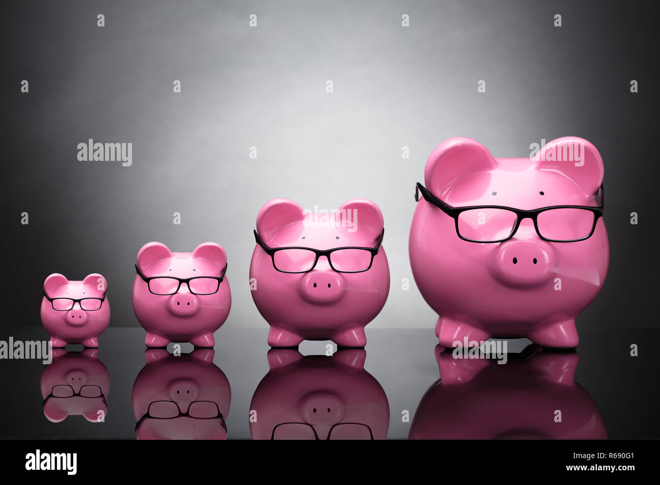 Cochon portant des lunettes Banque de photographies et d’images à haute ...