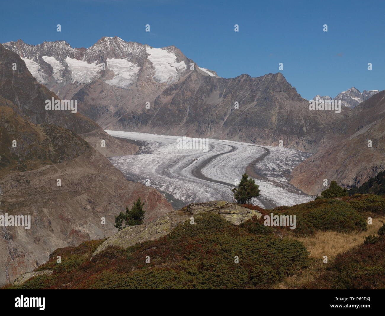 Grosser aletsch Banque de photographies et d’images à haute résolution ...