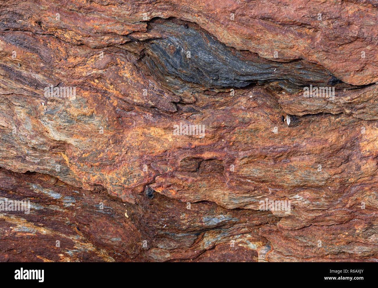 Rouges de Banque de photographies et d’images à haute résolution - Alamy