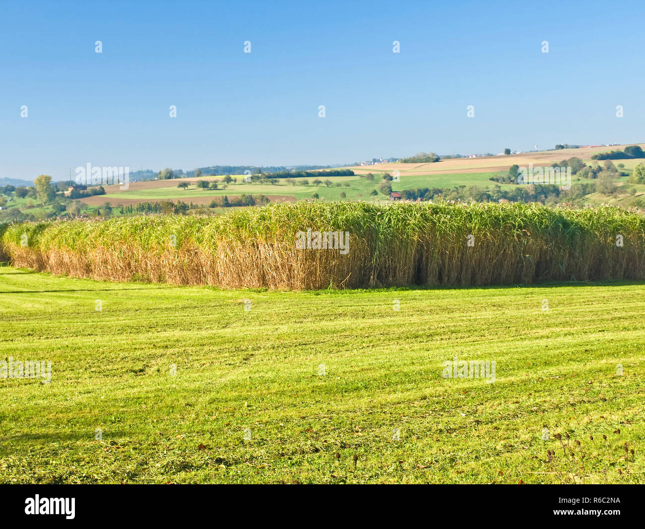 Biocarburants biologiques biocompressibles chauffage extraction Banque ...