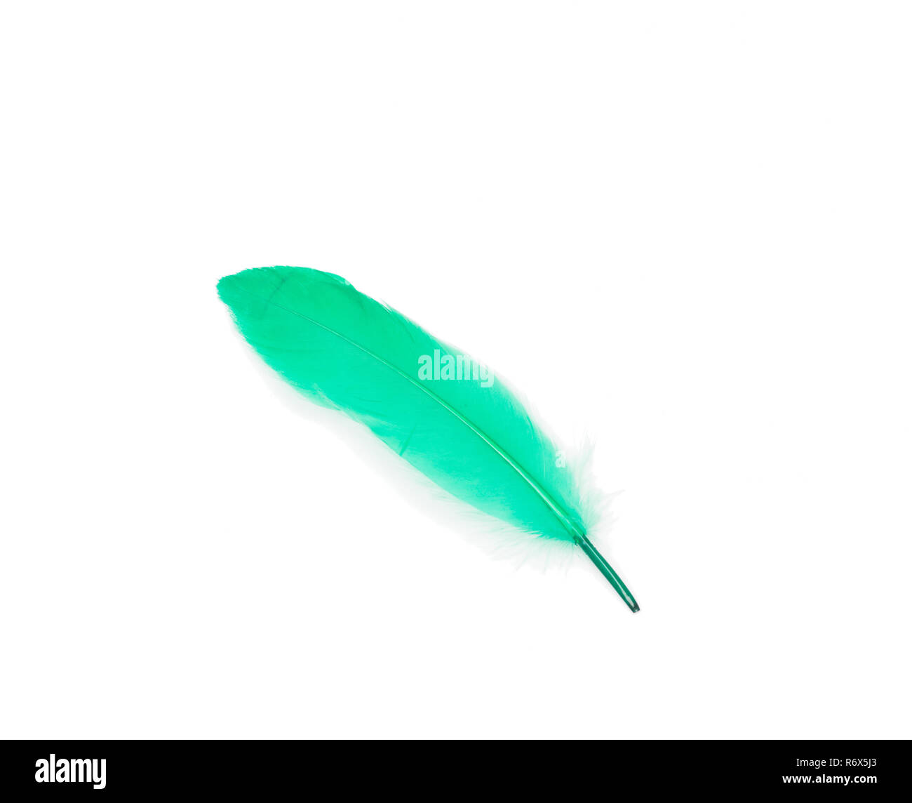 Courbe de plume Banque de photographies et d’images à haute résolution ...