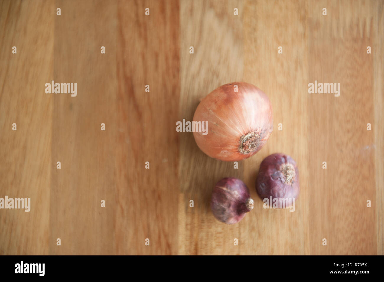 Gros piquant Banque de photographies et d’images à haute résolution - Alamy