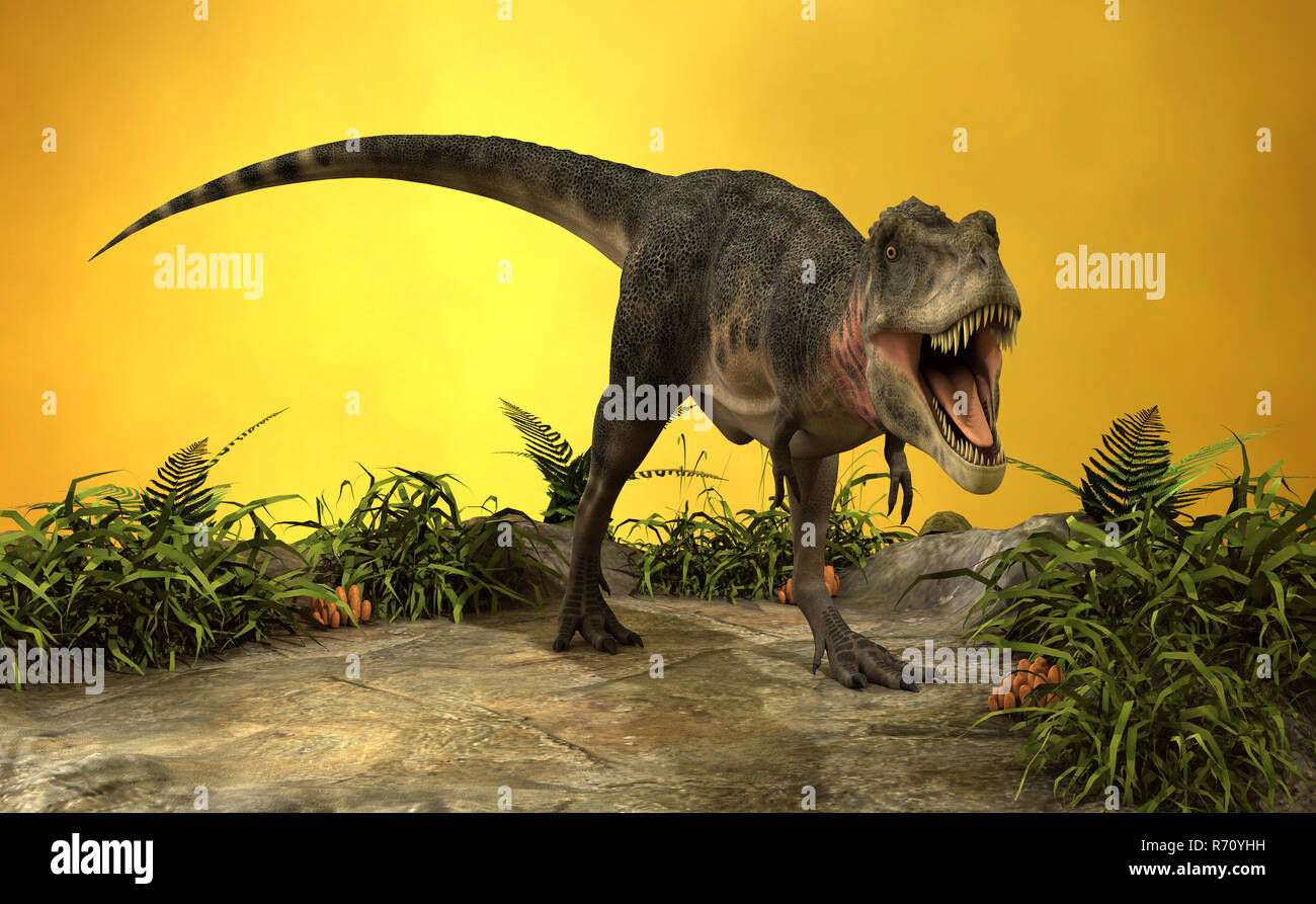 Tarbosaurus dinosaur Banque de photographies et d’images à haute ...