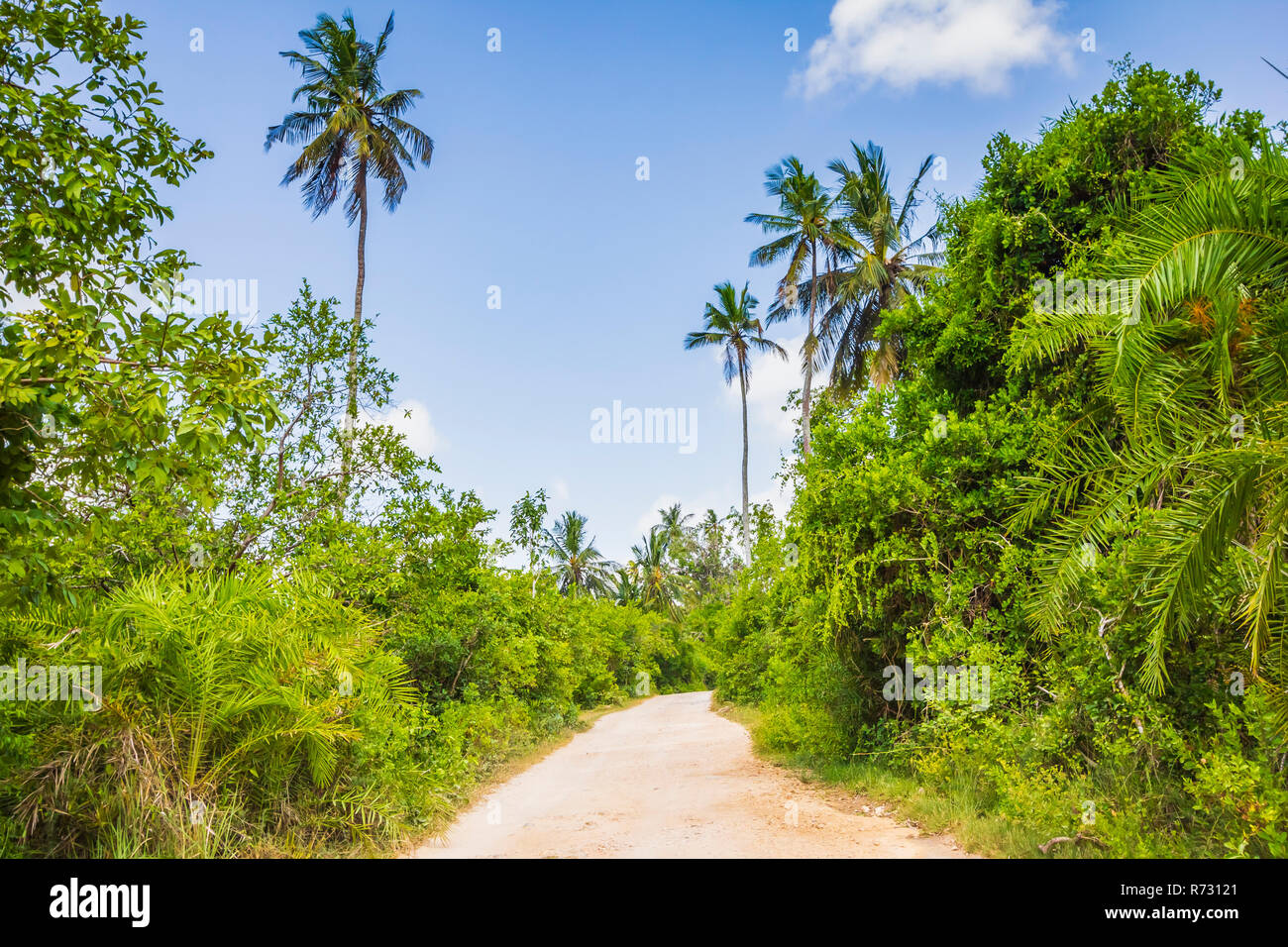 Africa jungle path Banque de photographies et d’images à haute ...