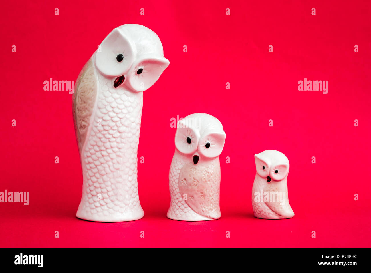 Fond clair avec des hiboux Banque de photographies et d’images à haute ...