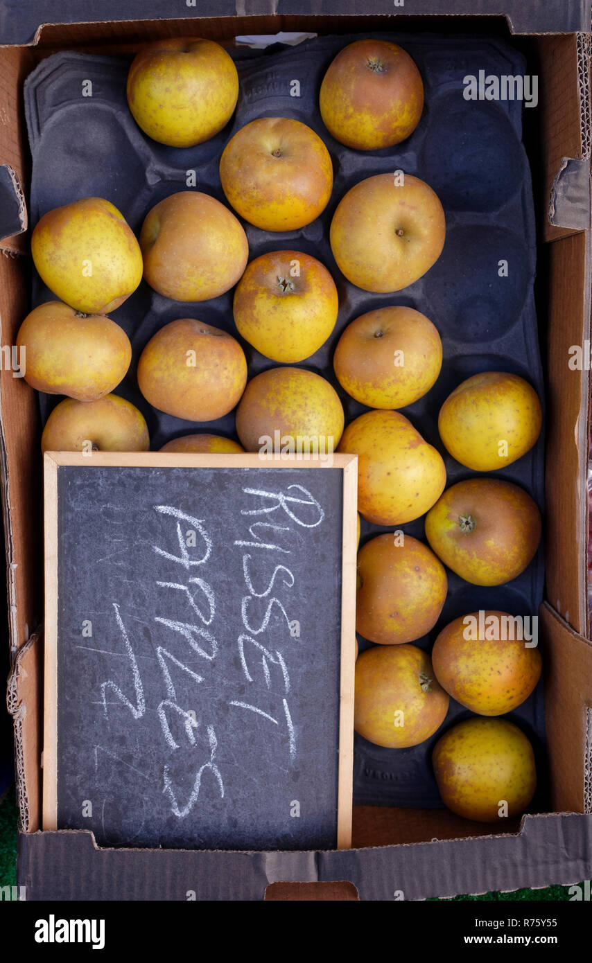 Variétés de pommes anglaises Banque de photographies et d’images à ...