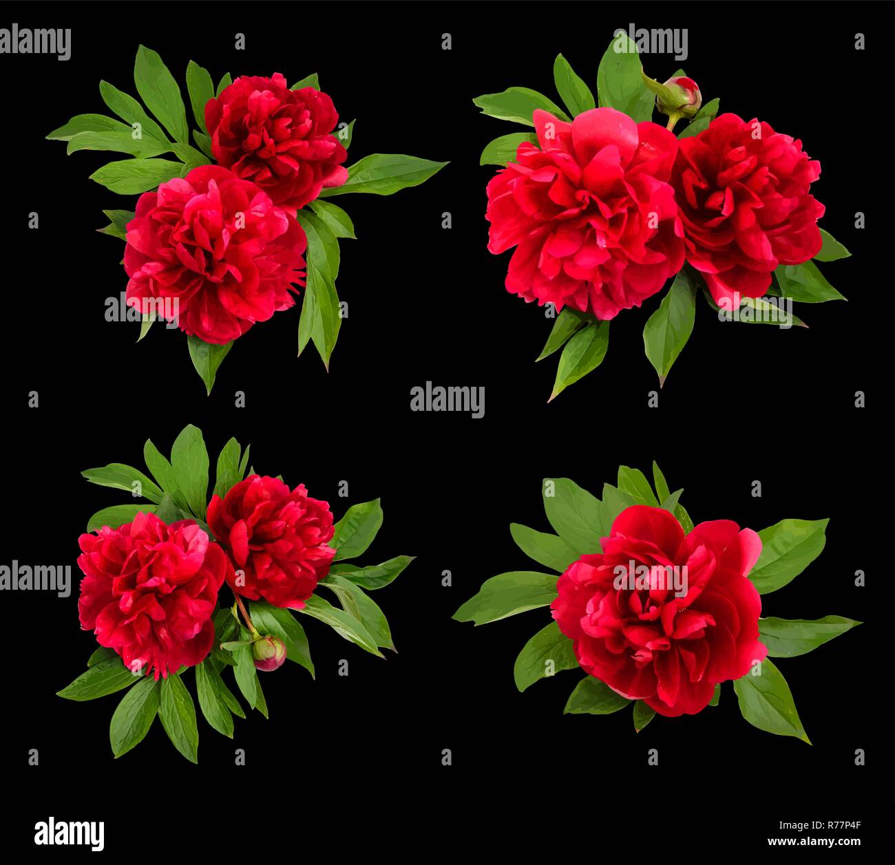 Image sur les plante Banque d'images vectorielles - Alamy