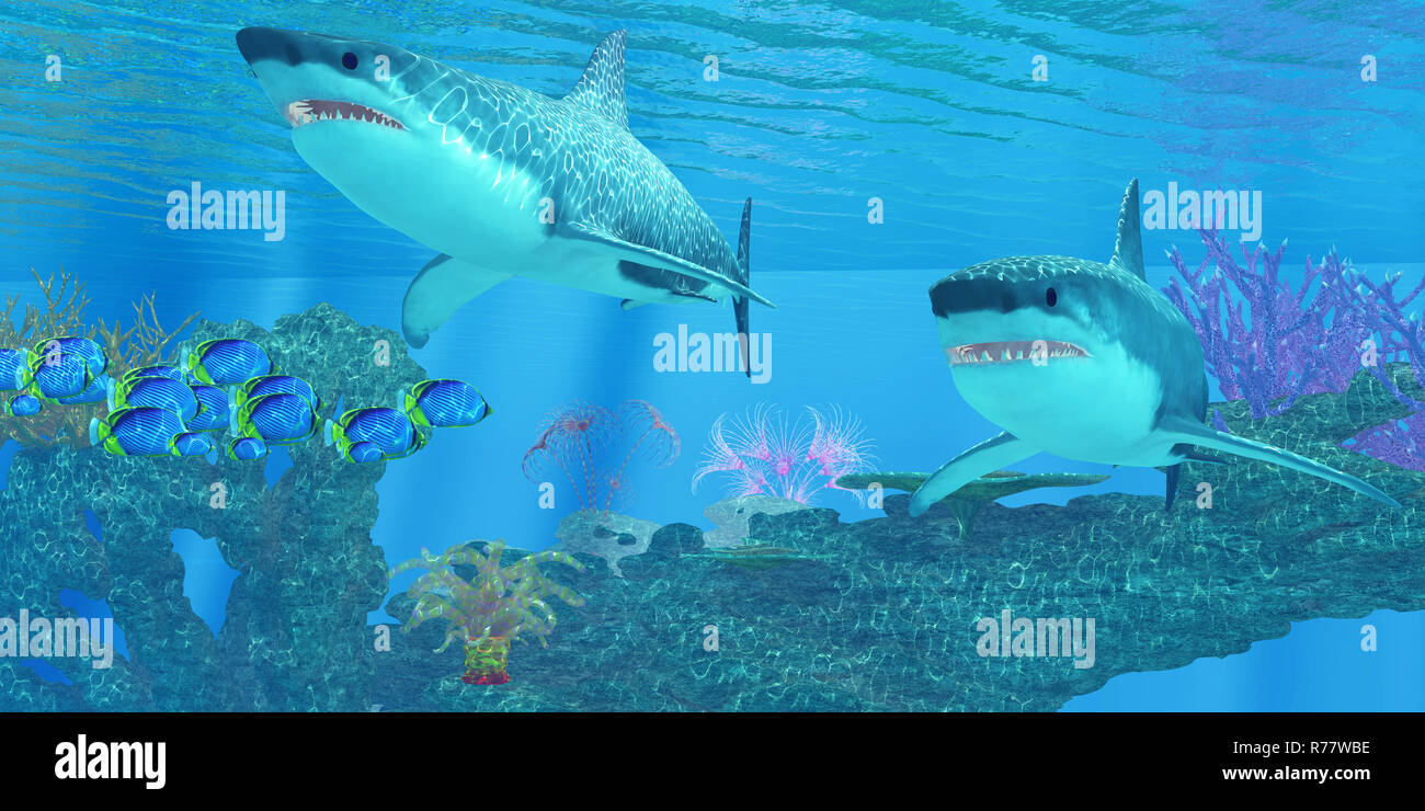 Great white shark eating fish Banque de photographies et d’images à ...