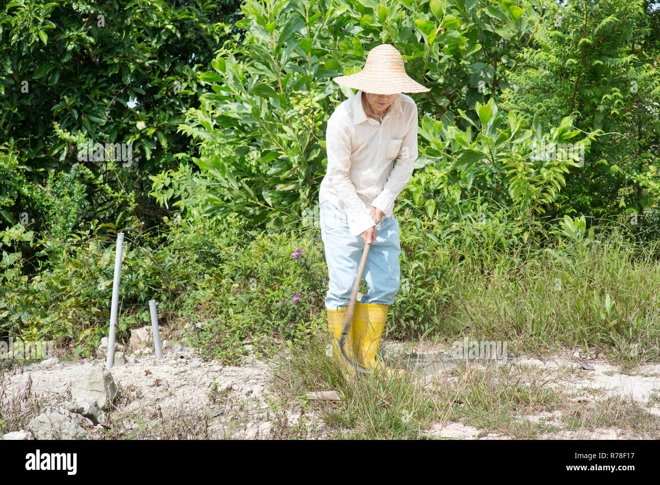 Défrichement des terres agricoles Banque de photographies et d’images à ...