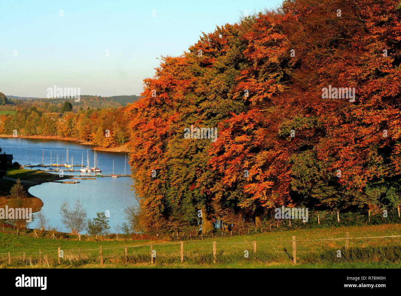 Bever dam Banque de photographies et d’images à haute résolution - Alamy