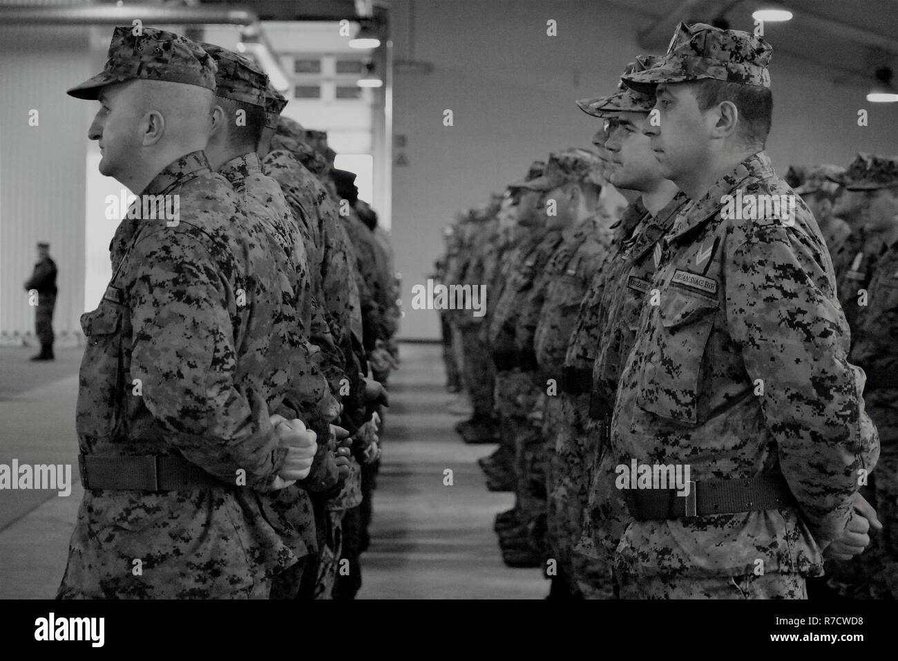 Army of republika srpska Banque de photographies et d’images à haute ...