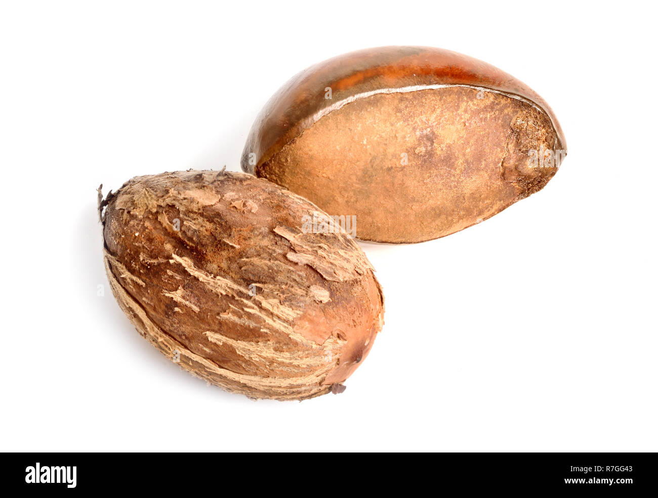 Les noix de karité beurre de karité ou de fruits. Isolé sur fond blanc ...