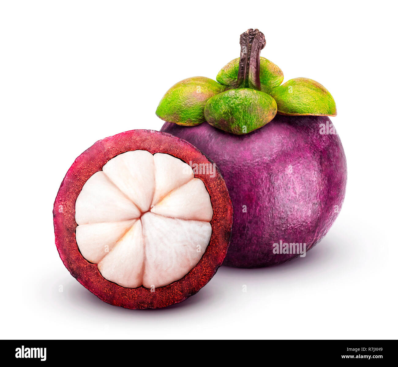 Mangoustan feuille Banque de photographies et d’images à haute ...