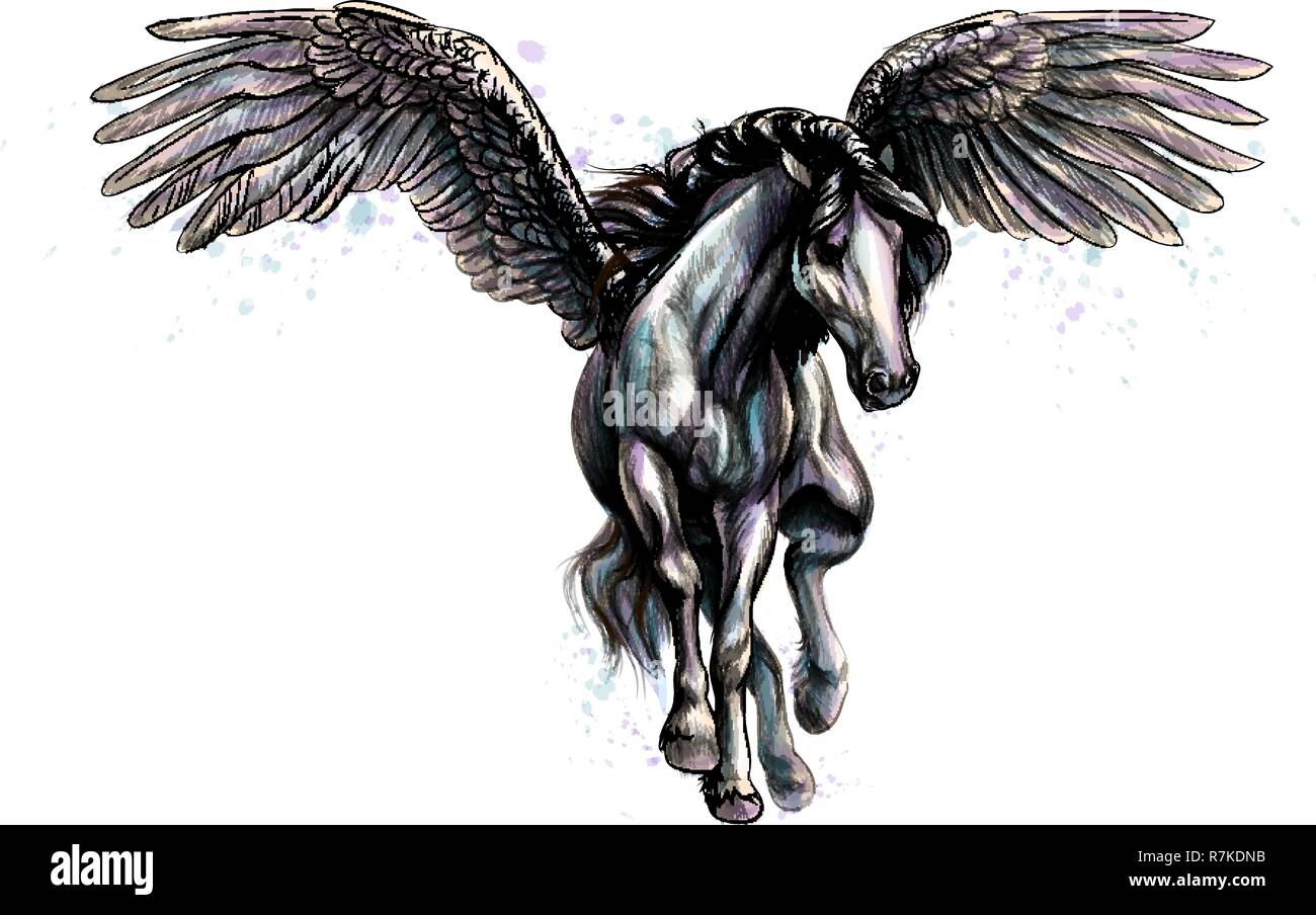 Pégase le cheval volant de la mythologie grecque Banque de ...