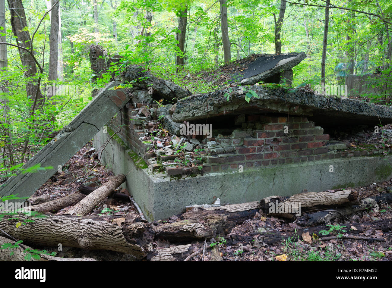 Tallman mountain state park Banque de photographies et d’images à haute ...