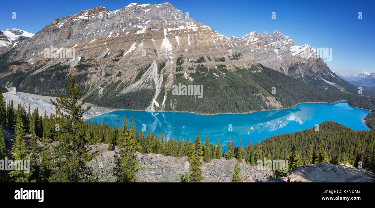 Parc national du lac peyto banff Banque de photographies et d’images à ...
