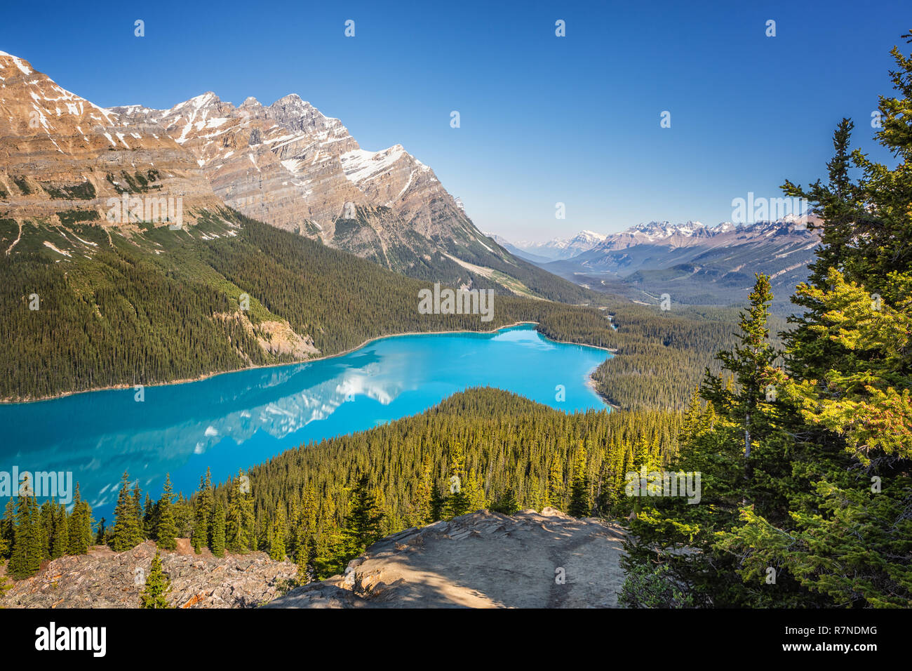 Parc national du lac peyto banff Banque de photographies et d’images à ...