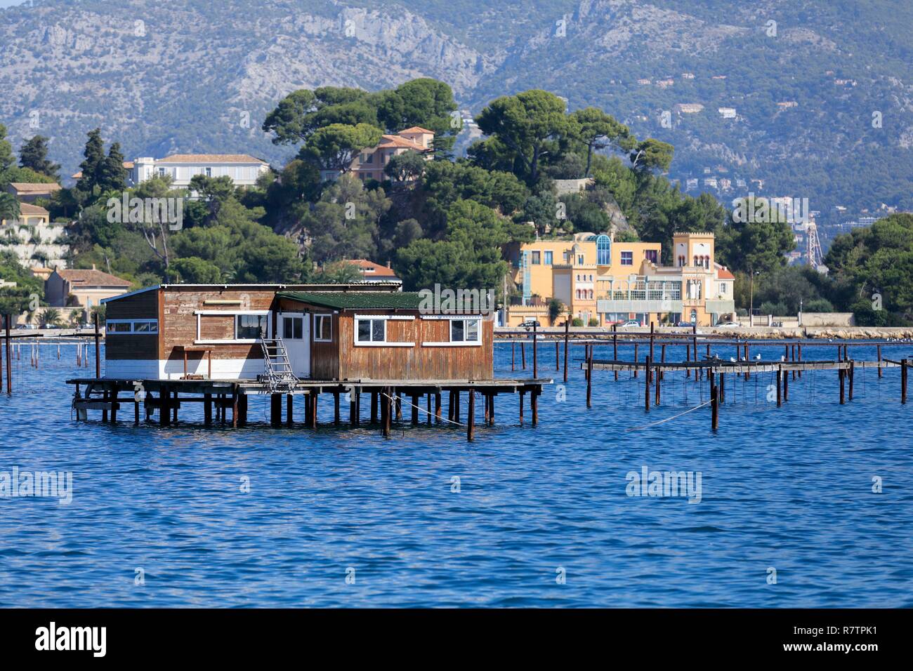 Paysage Et Tamaris Banque d'image et photos - Alamy