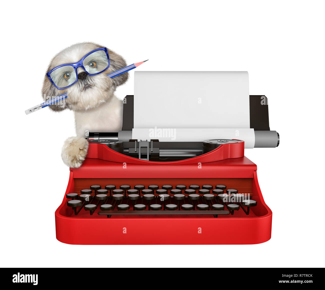 Chef cuisinier humour Banque d'images détourées - Alamy