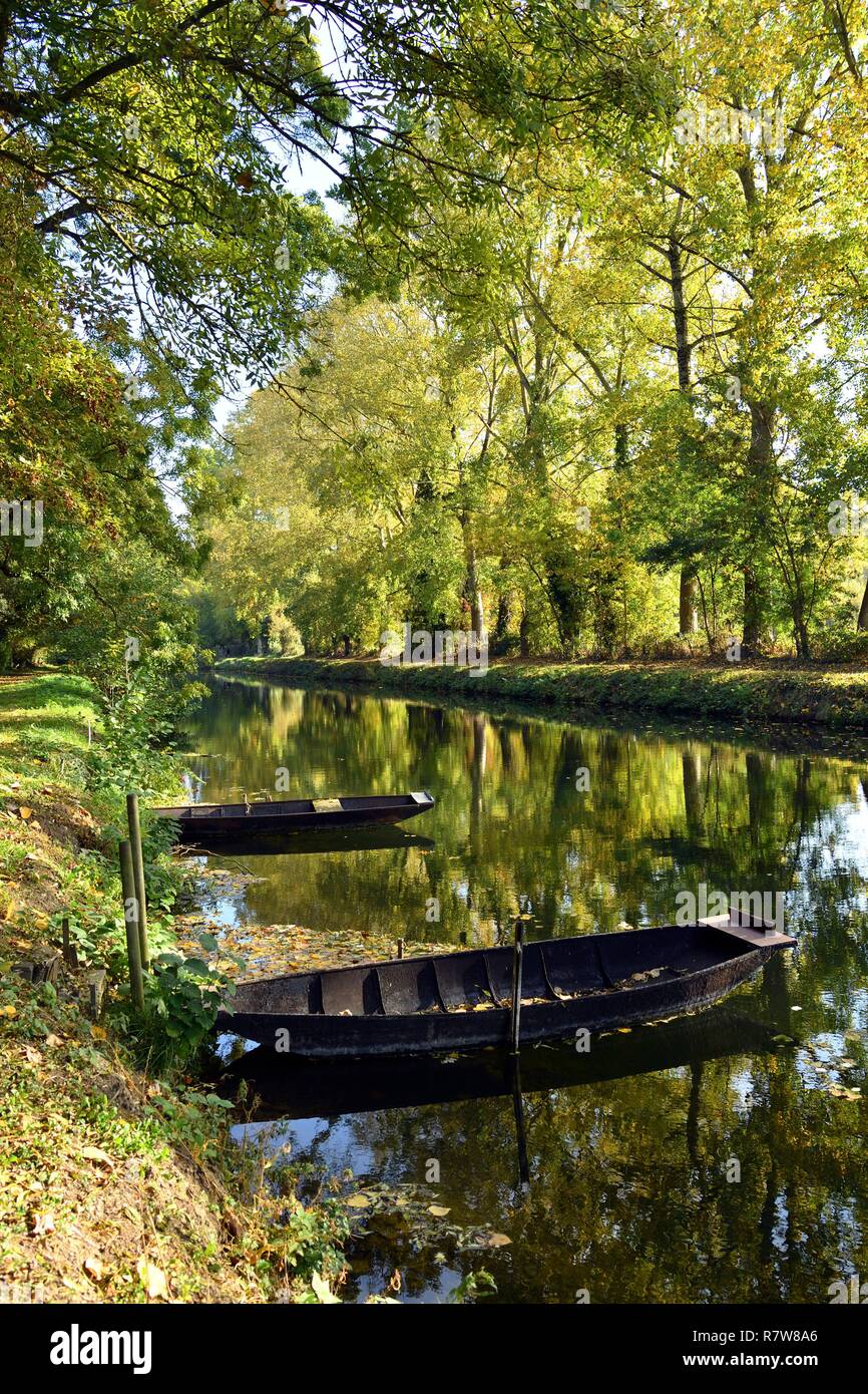 En France, deux Sevres, Parc Interrégional du Marais Poitevin appelé ...
