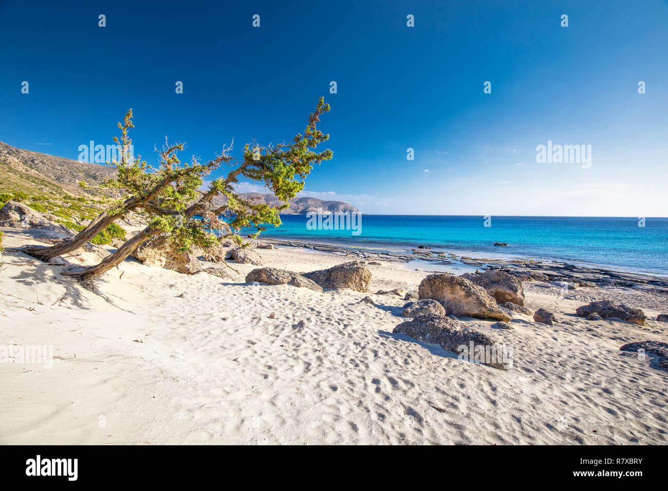 Kedrodasos beach crete Banque de photographies et d’images à haute ...