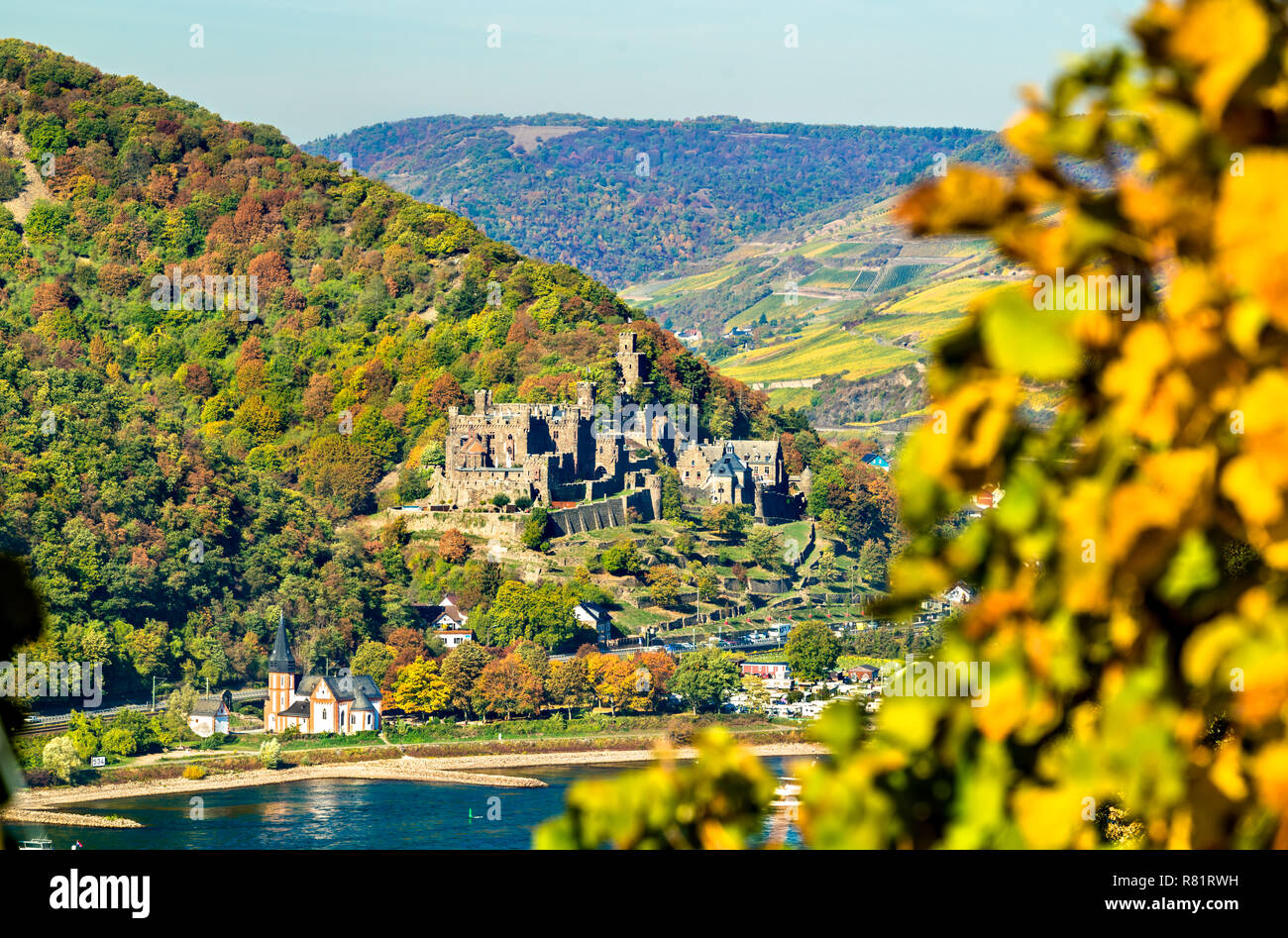 Vignoble en rhin allemagne Banque de photographies et d’images à haute ...