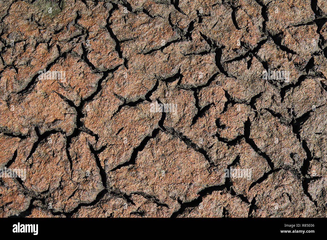 Texture de terre Banque de photographies et d’images à haute résolution ...