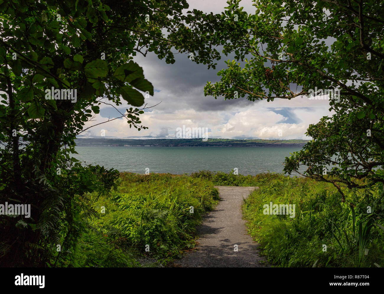 Belfast bay Banque de photographies et d’images à haute résolution - Alamy