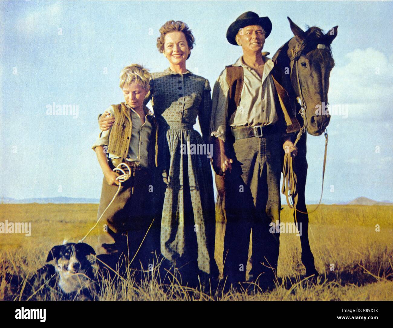 The proud rebel 1958 alan ladd Banque de photographies et d’images à ...