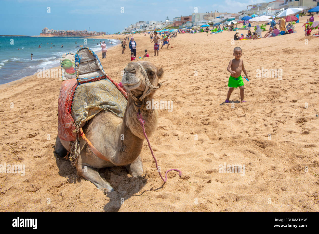 Benslimane maroc Banque de photographies et d’images à haute résolution ...
