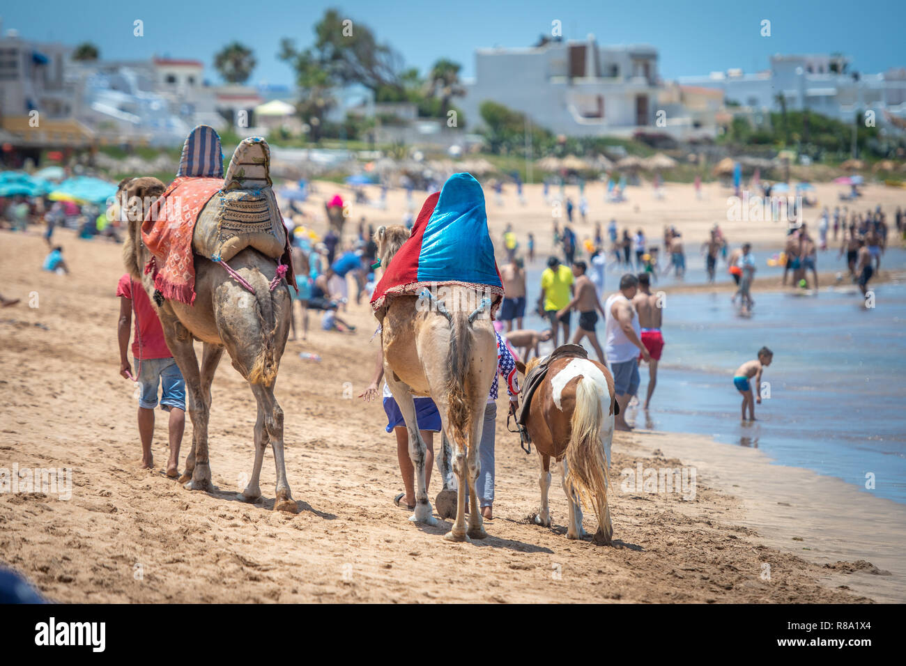 Benslimane maroc Banque de photographies et d’images à haute résolution ...