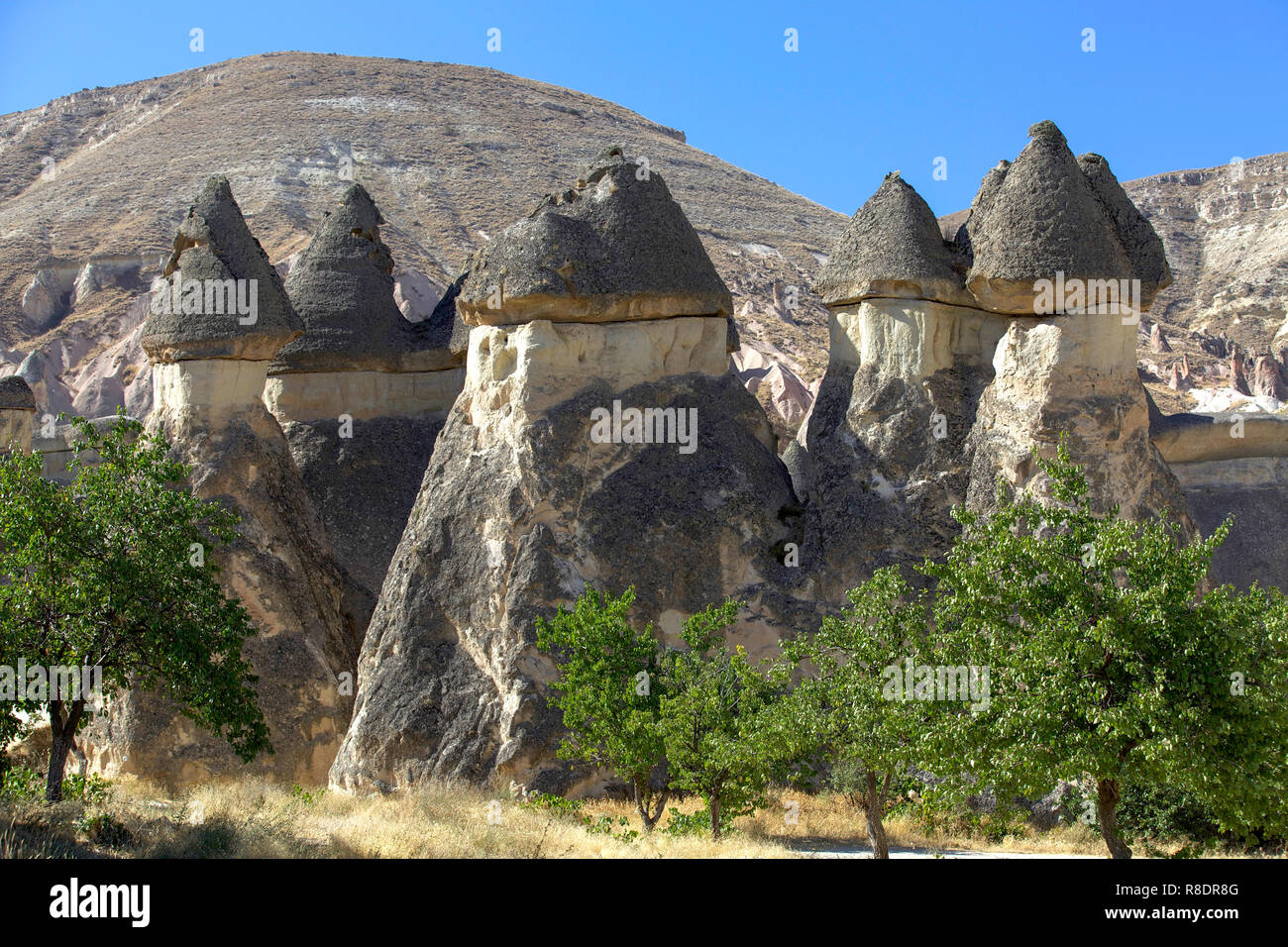 Formations volcaniques de roche de tuf Banque de photographies et d’images à haute résolution ...