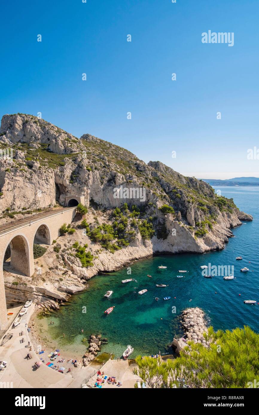 La vesse Banque de photographies et d’images à haute résolution - Page ...