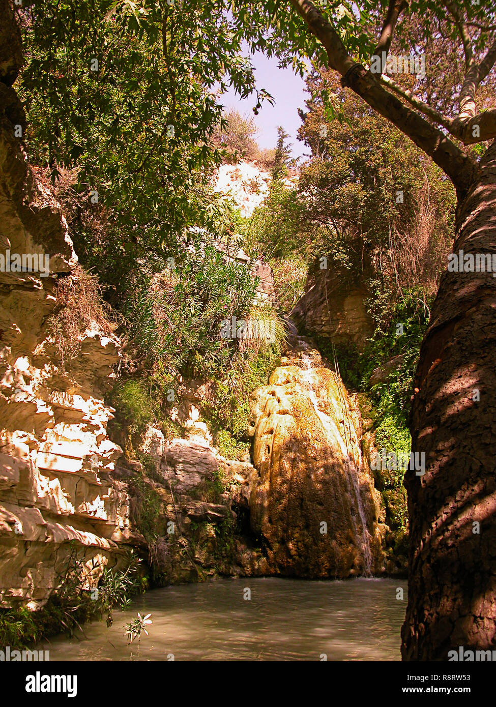 Bains d'Adonis, district de Paphos, Chypre : piscine inférieure et ...