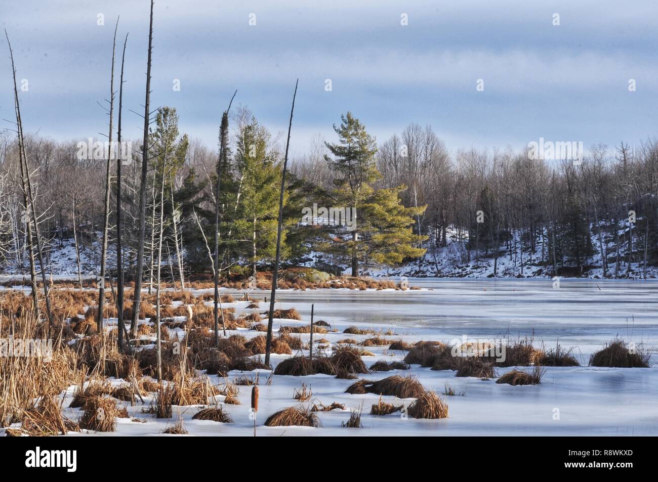 Mur de couleurs froides Banque de photographies et d’images à haute ...
