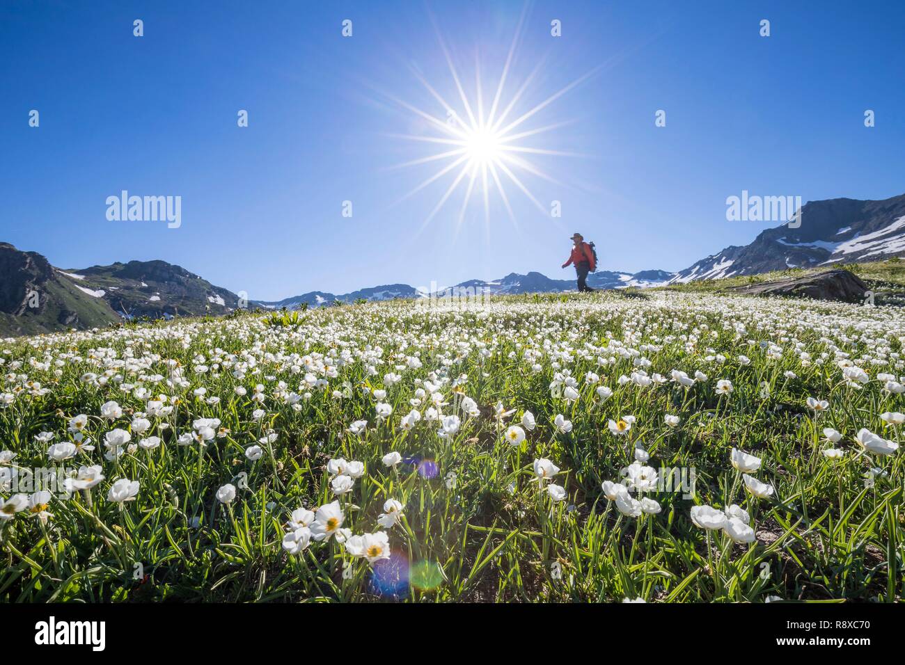 Vallee de la claree marcheur Banque de photographies et d’images à ...