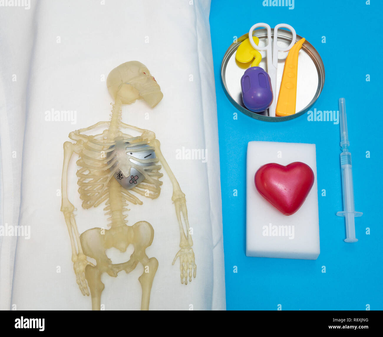 Corps humain squelette avec coeur décédé avant la chirurgie de ...