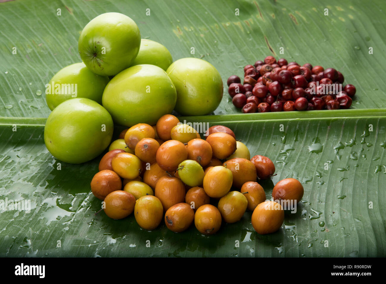 Jujube fruit Banque de photographies et d’images à haute résolution - Alamy