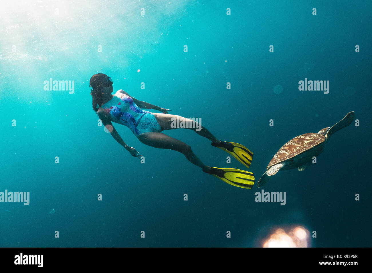 Apnéiste femme Banque de photographies et d’images à haute résolution ...