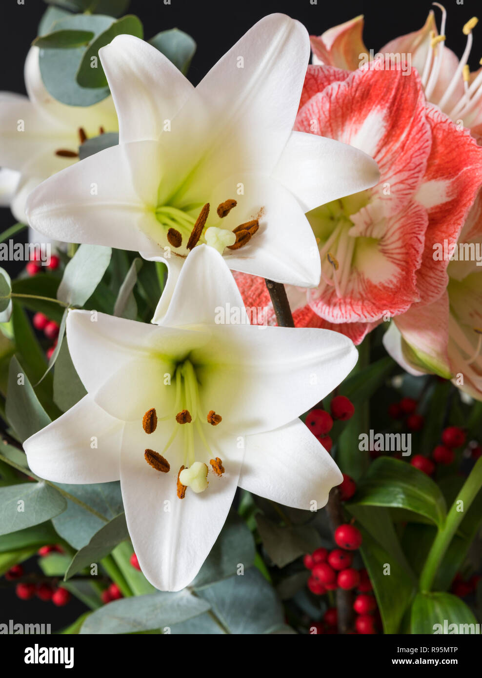 Bouquet de fleur sur fond noir Banque de photographies et d’images à haute résolution - Alamy