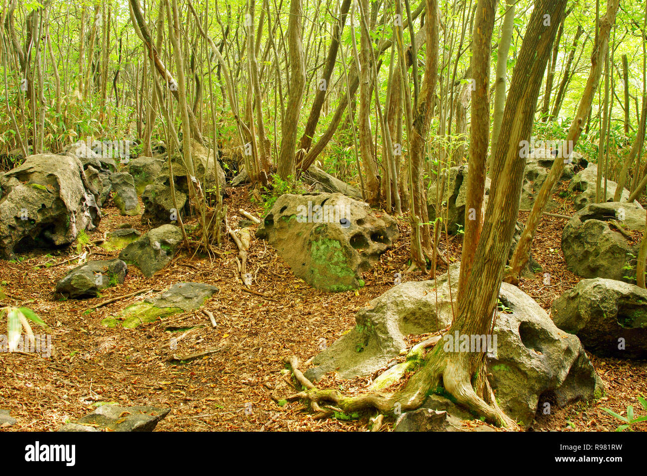 Oddly shaped Banque de photographies et d’images à haute résolution - Alamy